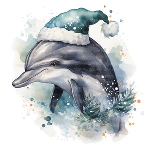 12 Christmas Dolphin Clipart, Christmas Card, Printable Watercolor ...