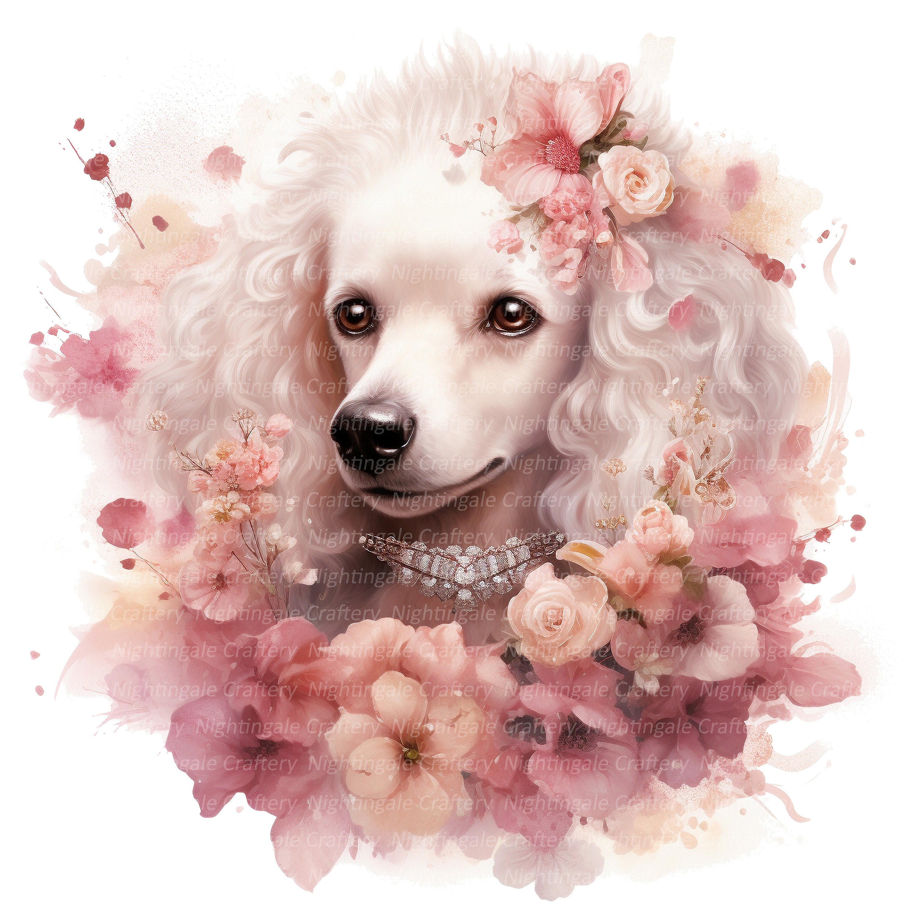 12 Vintage Poodle Clipart, Cool Pudel, Printable Watercolor Clipart ...