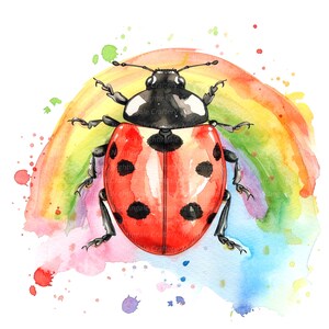 8 Cartoon Ladybird Clipart, Cartoon Rainbow Clipart, Printable ...