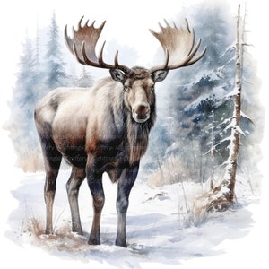 10 Moose in Winter Clipart, Printable Watercolor Clipart, High Quality ...