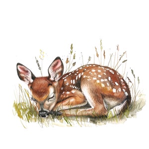 8 Baby Fawn Sleeping Clipart, Fawn Clipart, Printable Watercolor ...
