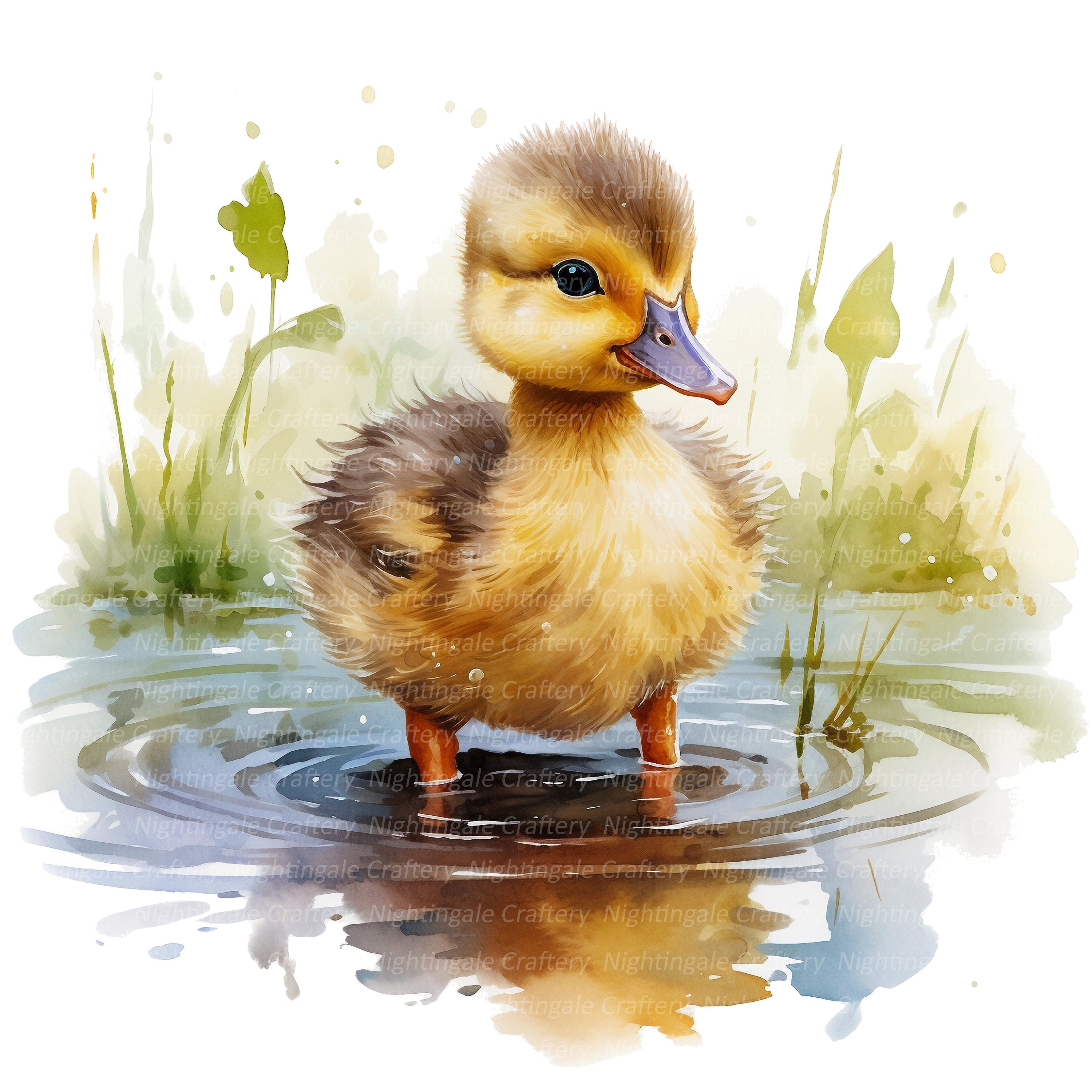 10 Duckling Clipart, Duck Duckling, Printable Watercolor Clipart, 10 ...