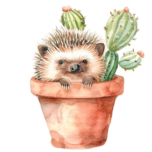 11 Hedgehog and Cactus Clipart, Cartoon Hedgehog, Printable Watercolor ...