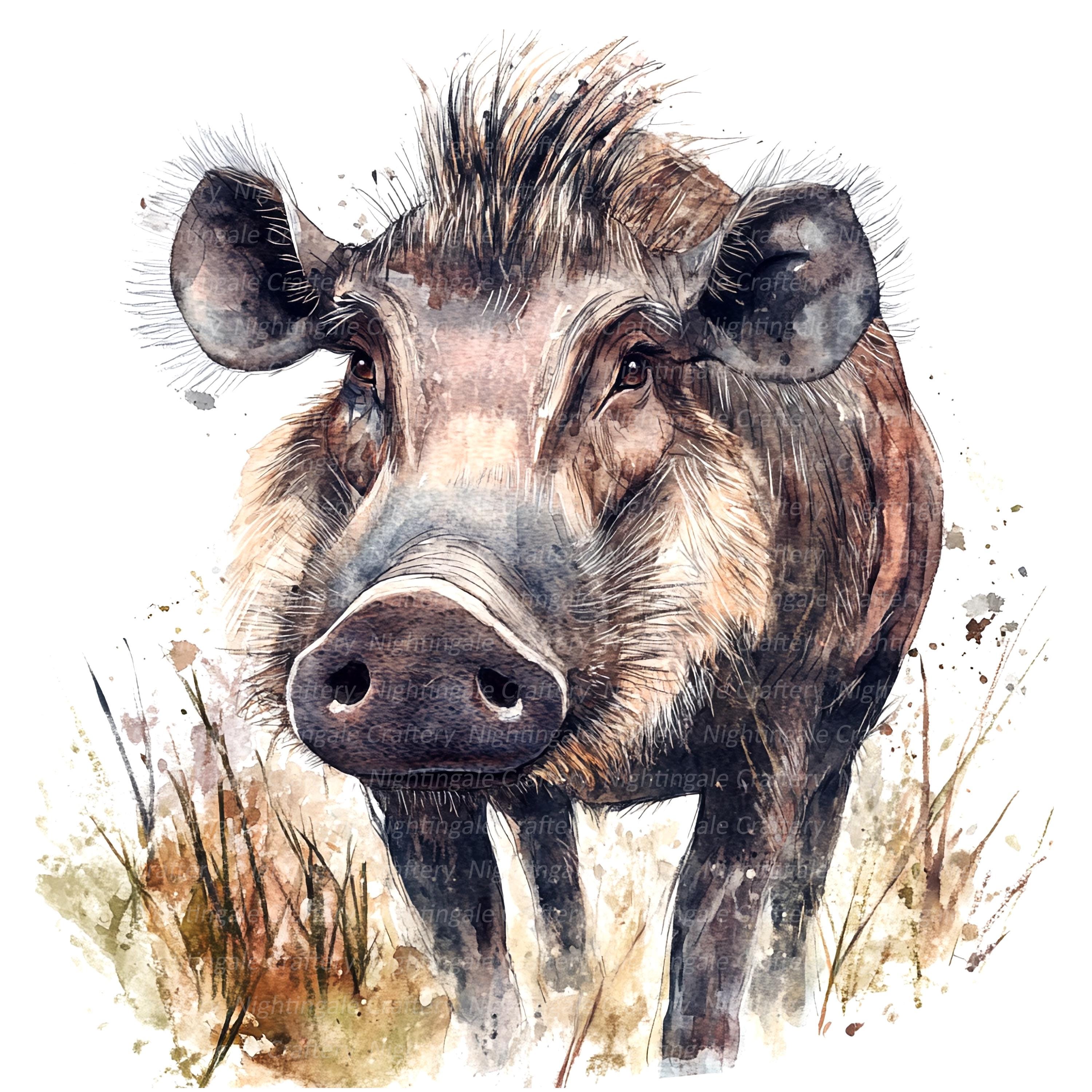 10 Warthog Clipart, Watercolor Warthog, Printable Watercolor Clipart ...