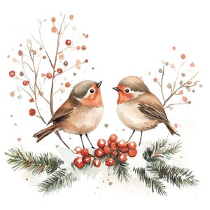 10 Christmas Birds Clipart, Red Cardinal, Robin, Printable Watercolor ...