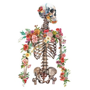12 Floral Human Skeleton Clipart, Floral Skeleton, Printable Watercolor ...