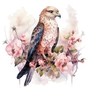 10 Floral Hawk Clipart, Adorable, Digital Clipart, Watercolor Clipart ...