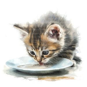 10 Kitten Drinking Milk Clipart, Cat Clipart, Printable Watercolor ...