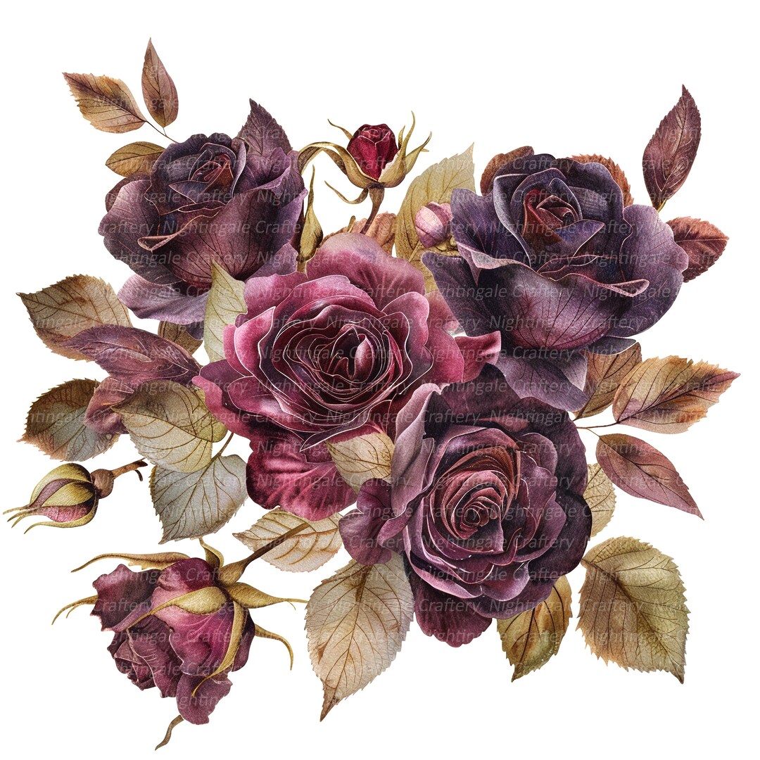 12 Burgundy Roses Clipart, Dark Roses Bouquet, Printable Watercolor ...