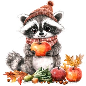 12 Harvest Raccoon Clipart, Thanksgiving Clipart, Printable Watercolor ...