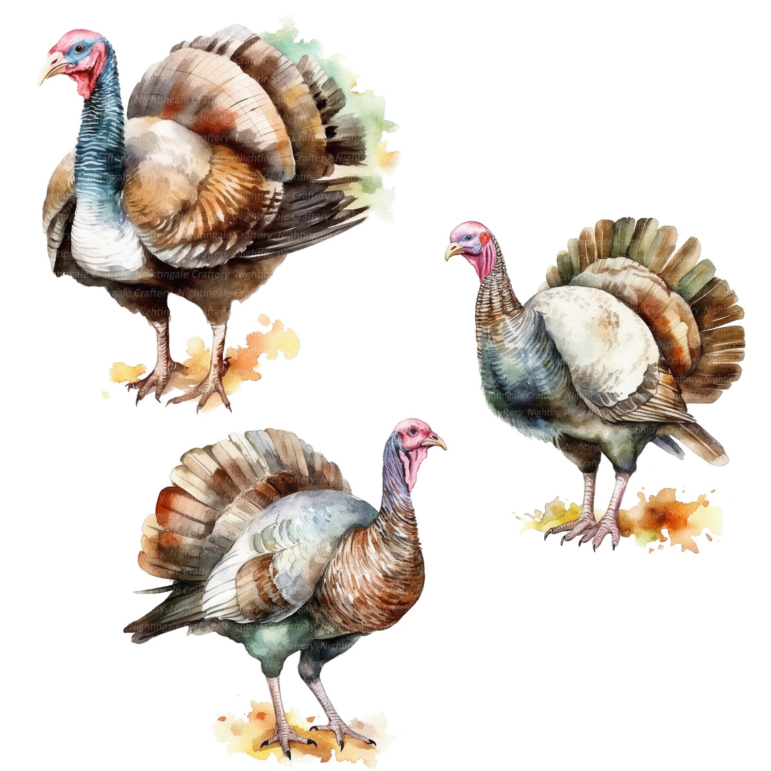 14 Turkey Clipart, Thanksgiving Clipart, Printable Watercolor Clipart ...