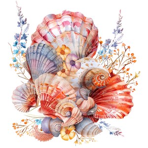 10 Floral Seashells Clipart, Sea Shells Clipart, Printable Watercolor ...