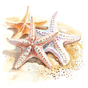 12 Starfish Clipart, Starfish in Beach, Printable Watercolor Clipart ...