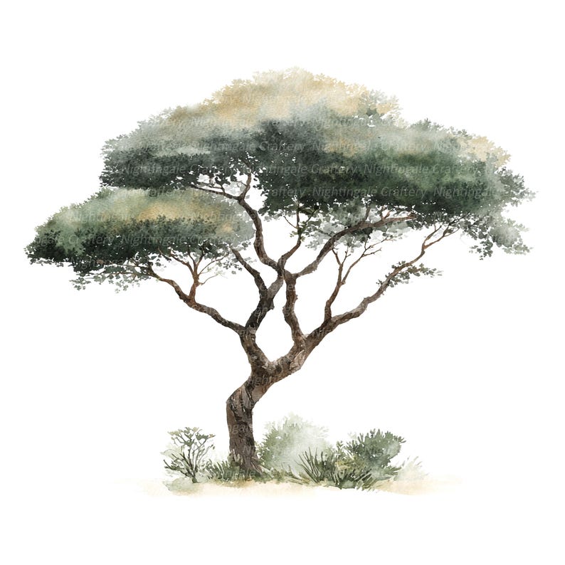 10 African Tree Clipart, Savanna Tree, Printable Watercolor Clipart ...