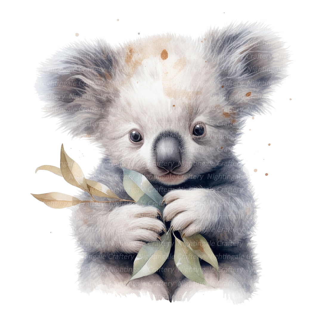 10 Koala Baby Clipart, Koala Bear Clipart, Printable Watercolor Clipart ...