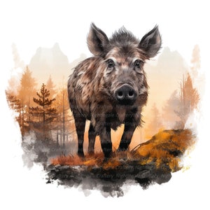 12 Wild Boar in Sunset Clipart, Printable Watercolor Clipart, High ...