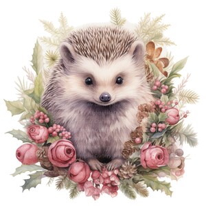 10 Stylized Christmas Hedgehog Clipart, Printable Watercolor Clipart ...