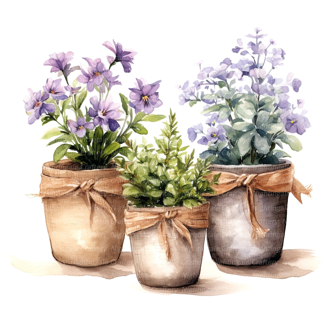 14 Rustic Flower Pots Clipart, Rustic Pots, Printable Watercolor ...