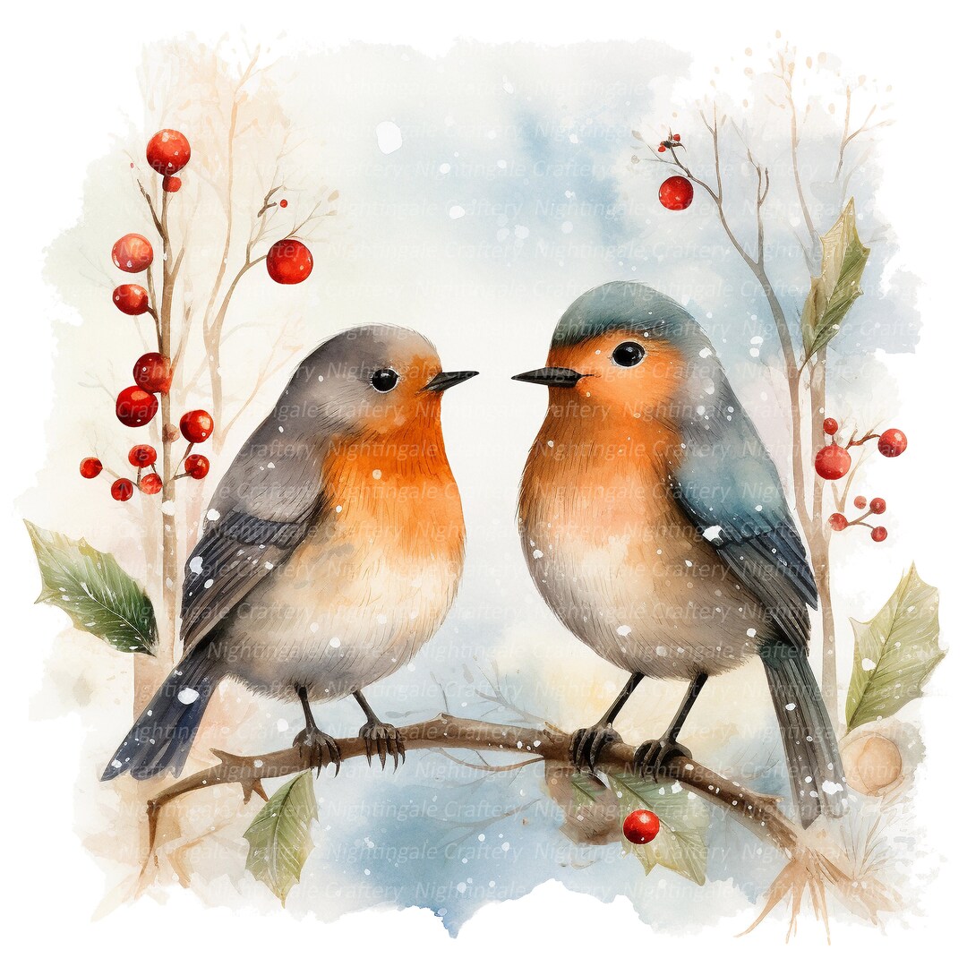 12 Christmas Robin Couple Clipart, Printable Watercolor Clipart, High ...