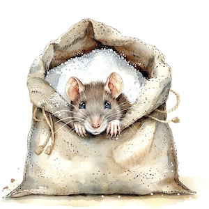 14 Cute Rat Clipart, Cute Mouse Clipart, Printable Watercolor Clipart ...