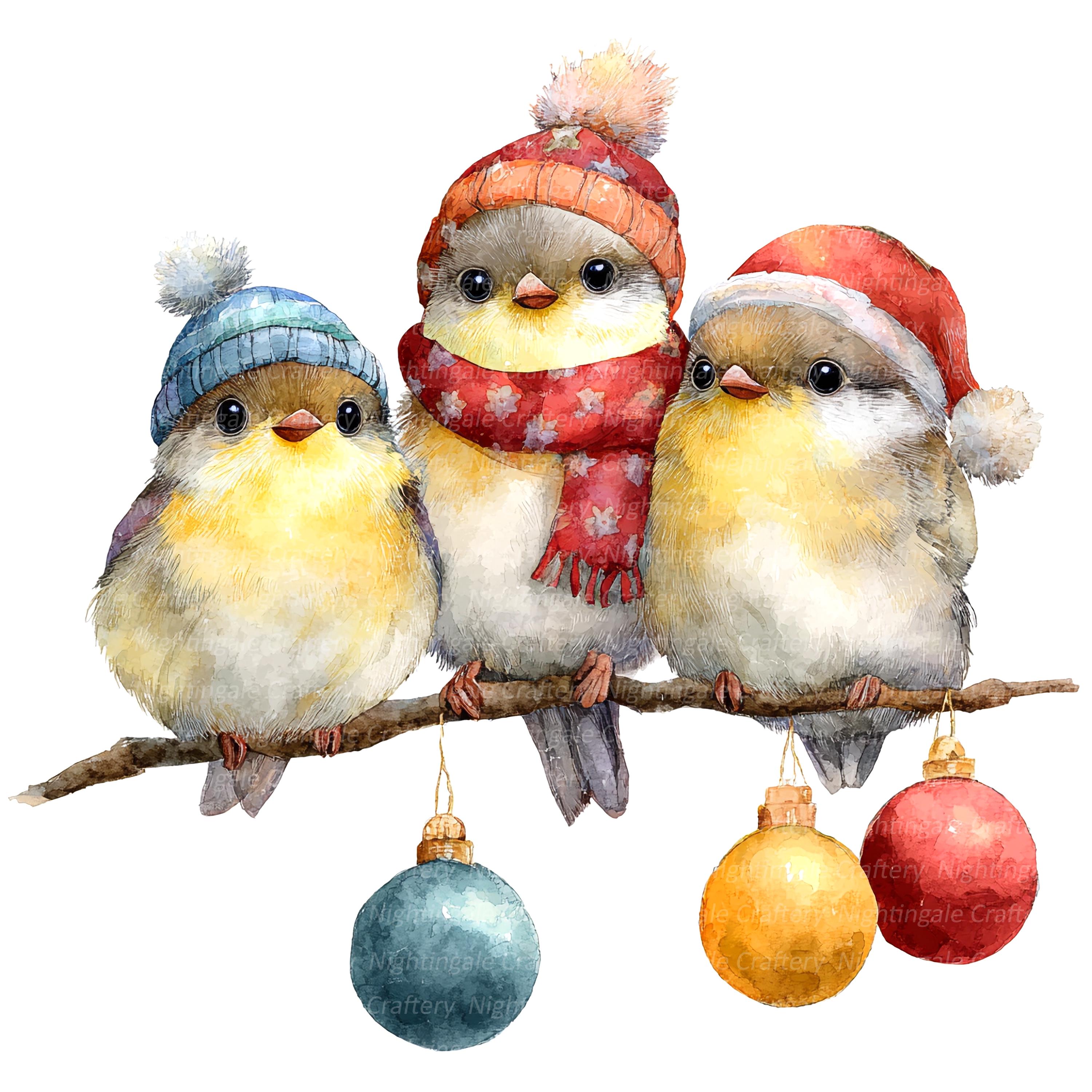 10 Funny Christmas Birds Clipart, Robin, Printable Watercolor Clipart ...