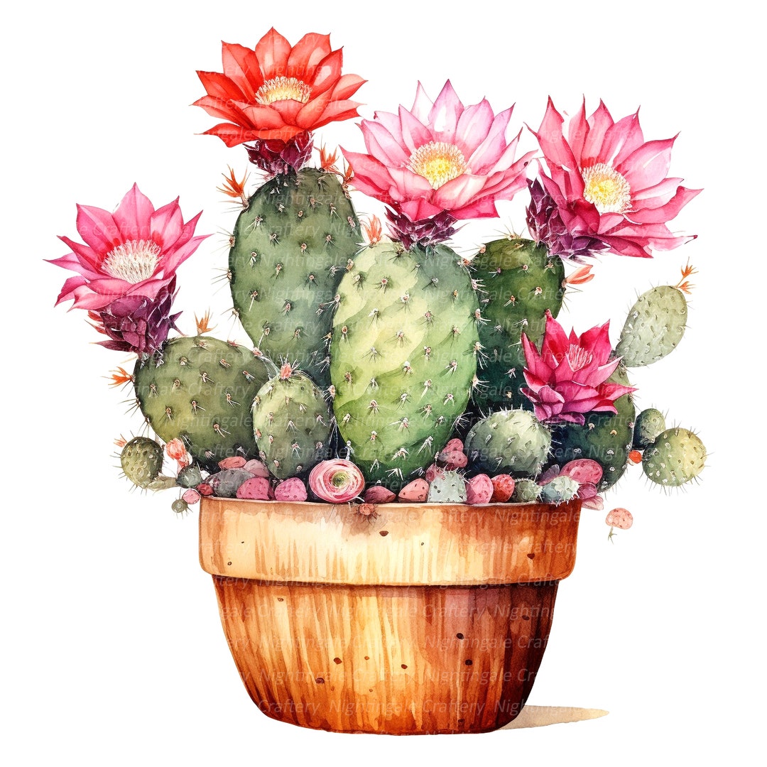 12 Cactus in Pot Clipart, Blooming Cactus, Printable Watercolor Clipart ...