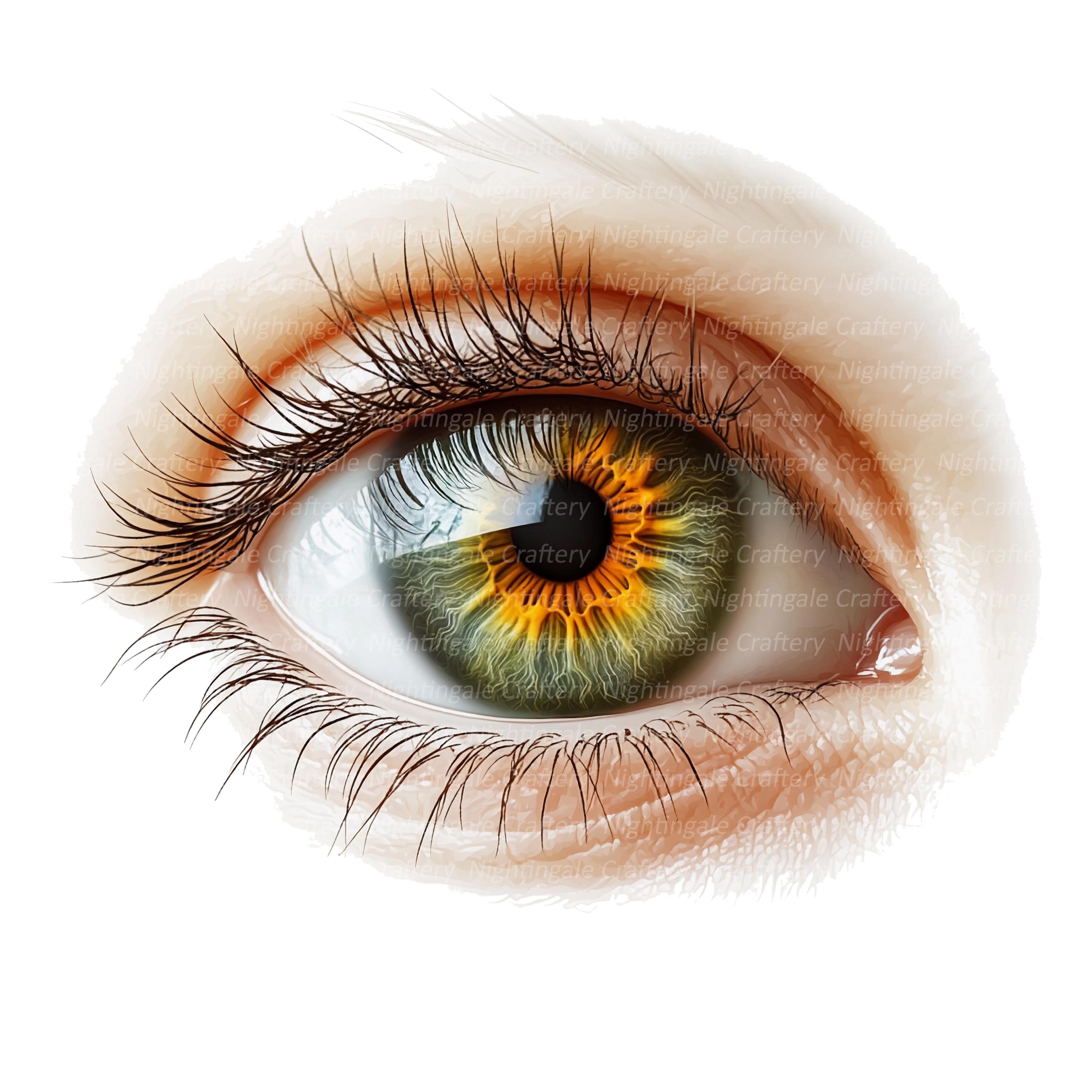 11 Realistic Eyes Clipart, Human Eye Clipart, Printable Watercolor ...