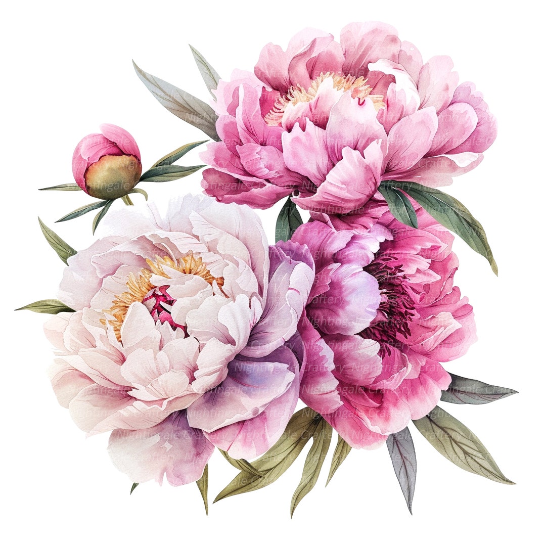10 Peonies Bouquet Clipart, Peonies Print, Printable Watercolor Clipart ...