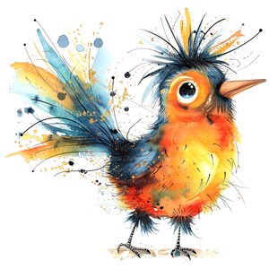 10 Whimsical Birds Clipart, Punk Birds, Digital Clipart, Watercolor ...