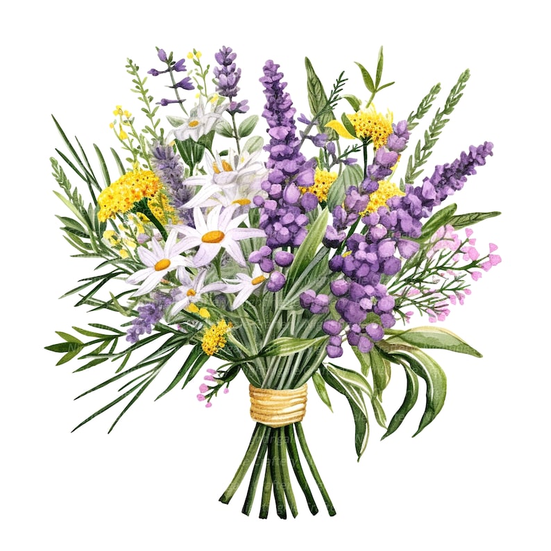 12 Lavender Bouquet Clipart, Lavender Print, Printable Watercolor ...