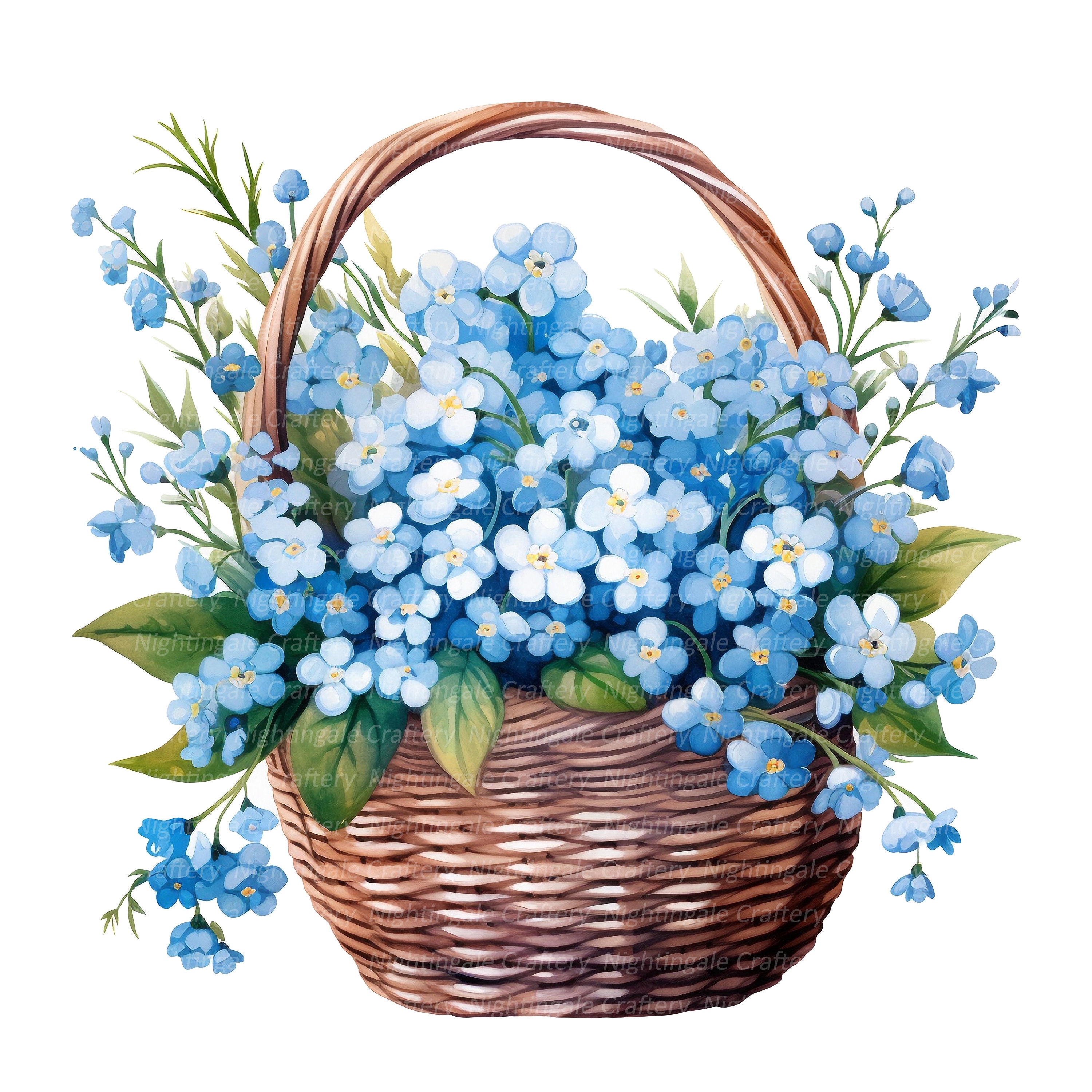 8 Forget Me Not Clipart Forget-me-not Basket Printable - Etsy