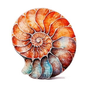 8 Ammonite Fossil Clipart, Fossils Clipart, Printable Watercolor ...