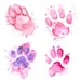 15 Dog Paw Clipart, Paw Print, Cat Paw, Printable Watercolor Clipart ...
