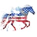 12 Patriotic Horse Clipart, USA Flag Clipart, Printable Watercolor ...