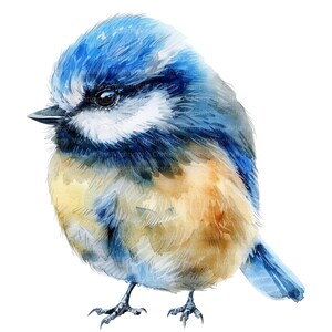 10 Blue Tit Bird Clipart Set 2, Eurasian Blue Tit, Printable Watercolor ...