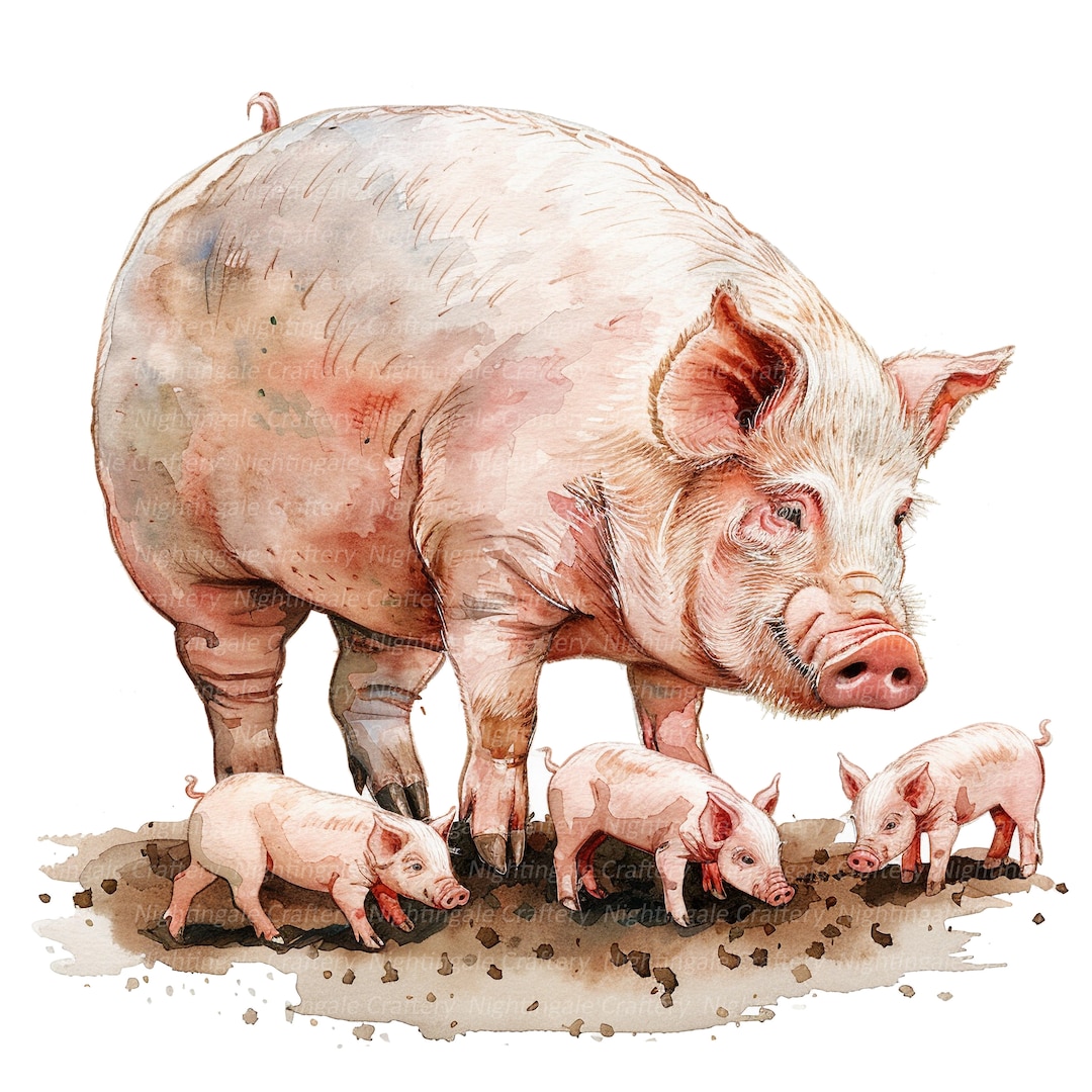 10 Farmyard Pig Clipart, Pig and Piglets, Printable Watercolor Clipart ...