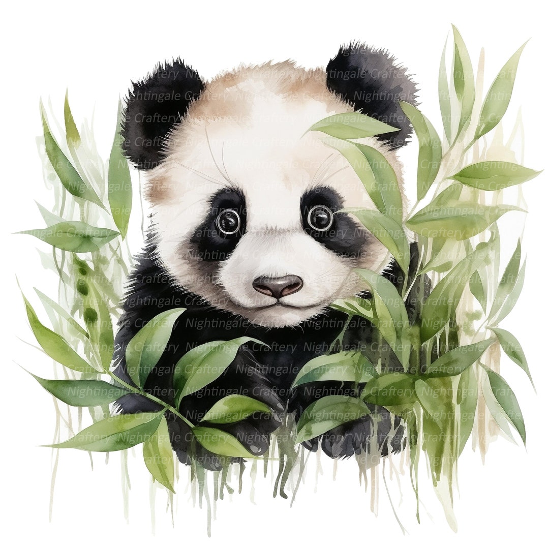10 Panda in Eucalyptus Clipart, Cute Panda, Printable Watercolor ...