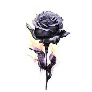 10 Black Rose Clipart, Rose in Flames Clipart, Printable Watercolor ...