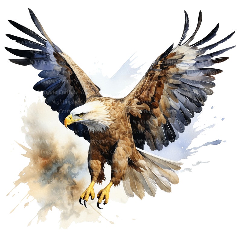 12 Adler Clipart Weißkopfseeadler druckbare Aquarell - Etsy.de