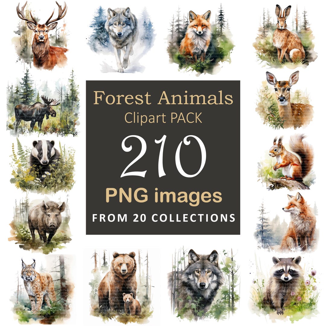 200+ Forest Animals Clipart Pack, 20 Collections, Printable Watercolor ...