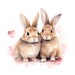12 Bunny Love Clipart, Rabbit Clipart, Printable Watercolor Clipart, 12 ...