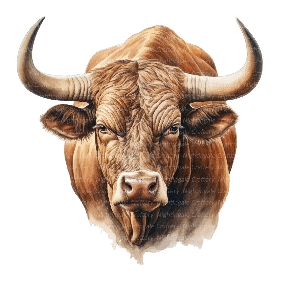 12 Bull Clipart, Ox Clipart, Printable Watercolor Clipart, High Quality ...