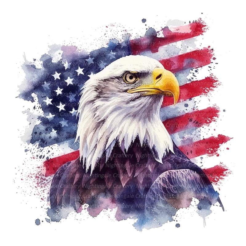 Eagle Flag Clipart - Etsy