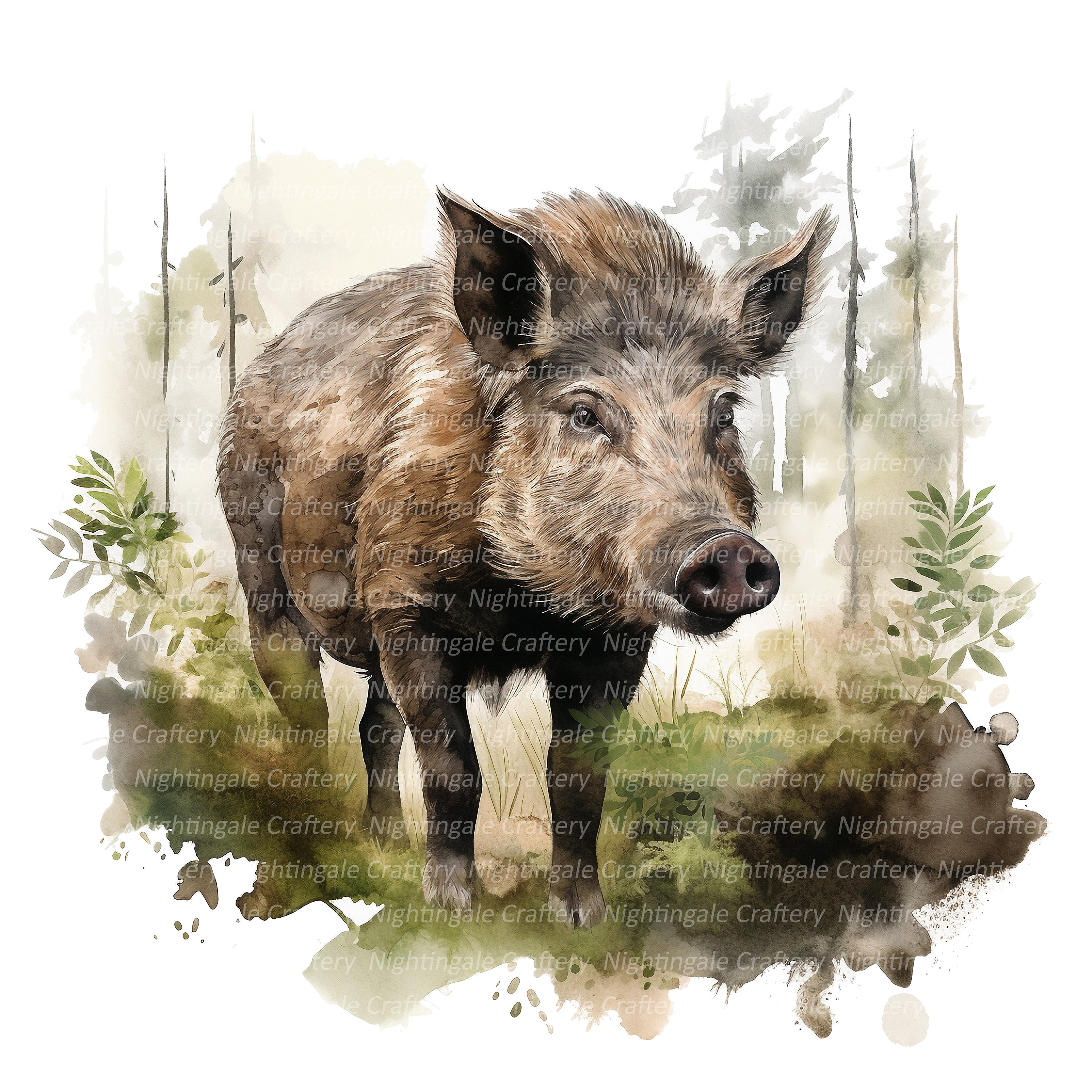 Wild Boar in Forest Clipart Printable Watercolor Clipart 10 - Etsy