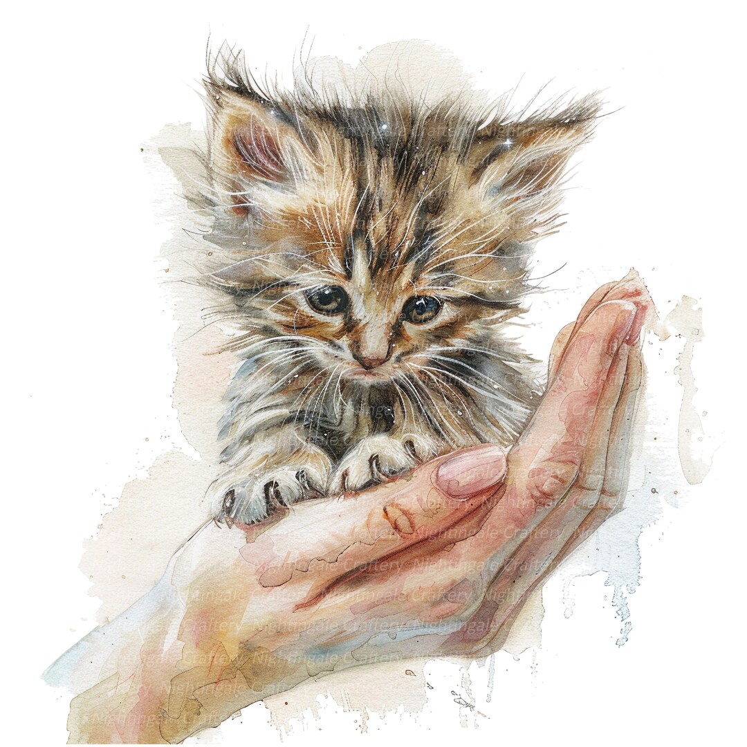 7 Fluffy Kitten in Hand Clipart, Cute Cat, Printable Watercolor Clipart ...