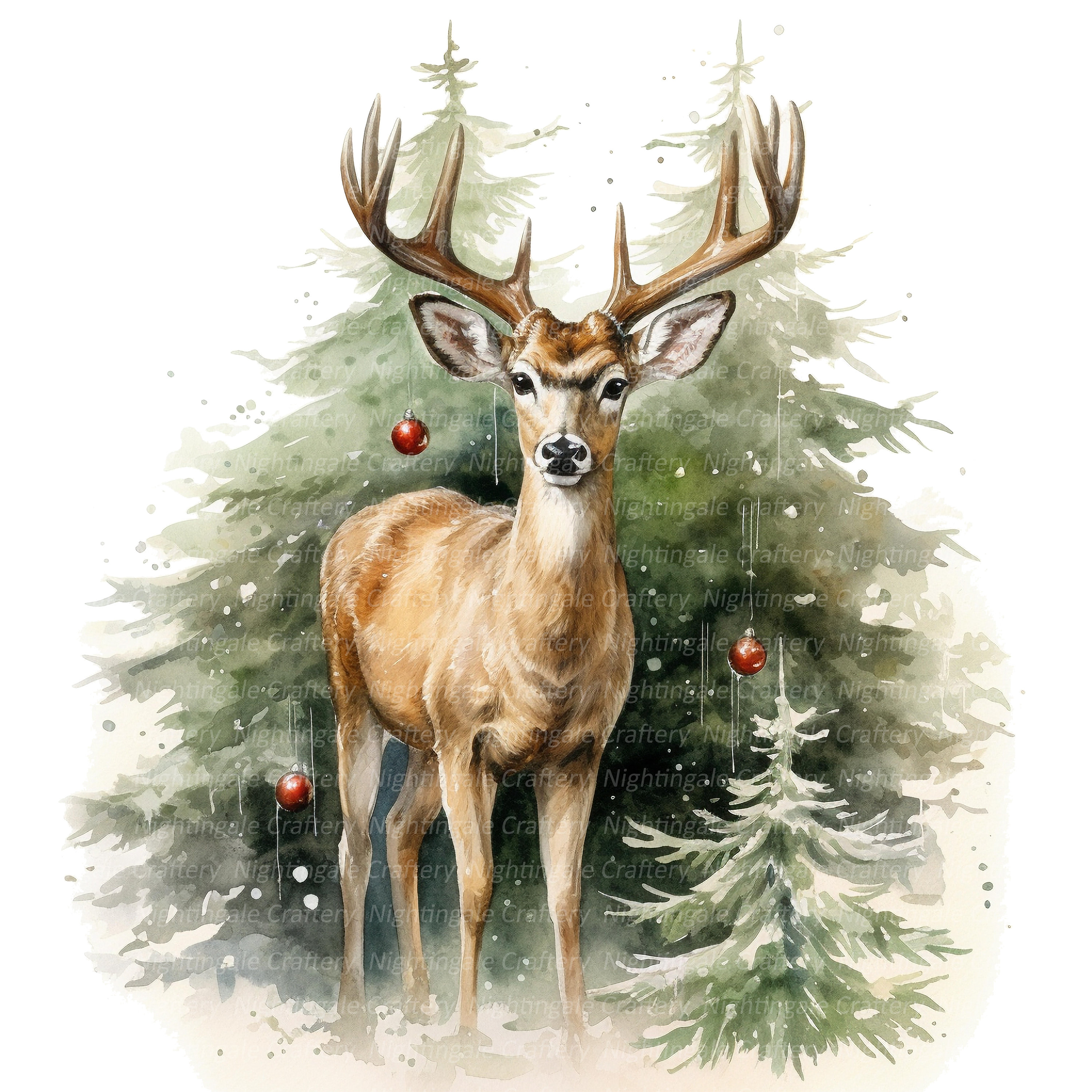 14 Christmas Deer Clipart, Reindeer, Elk, Printable Watercolor Clipart ...