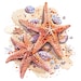12 Starfish Clipart, Starfish in Beach, Printable Watercolor Clipart ...