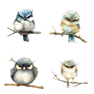 16 Grumpy Bird on Branch Clipart, Digital Clipart, Watercolor Clipart ...