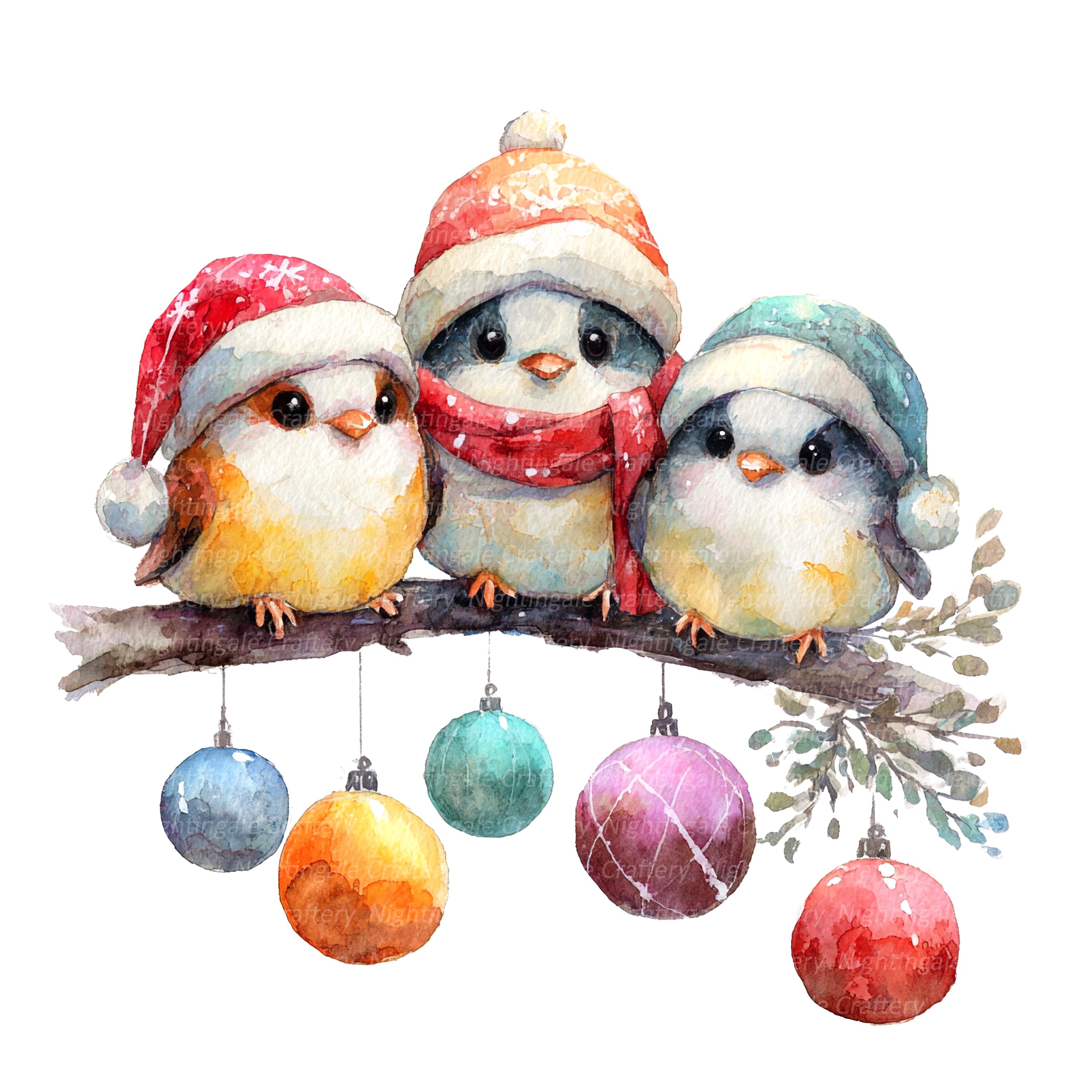 10 Funny Christmas Birds Clipart, Robin, Printable Watercolor Clipart ...