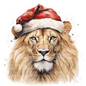 12 Lion With Santa Hat Clipart, Lion Clipart, Printable Watercolor ...